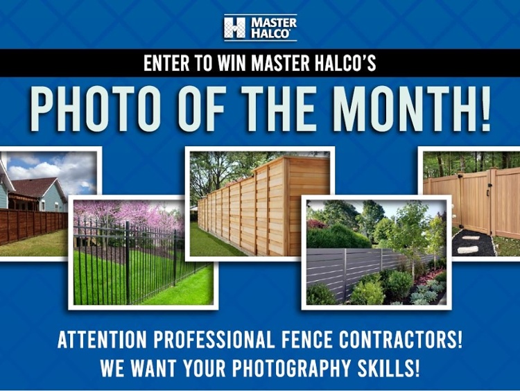 July 2021: It's Back! Master Halco's Photo of the Month